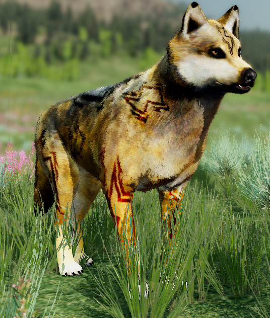 Simple Coat Customizations Mod for WolfQuest: Anniversary Edition | WQ ...