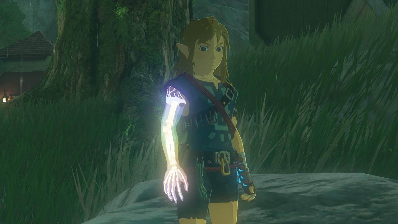 X-ray Arm Mod for The Legend of Zelda: Tears of the Kingdom | TOTK Mods