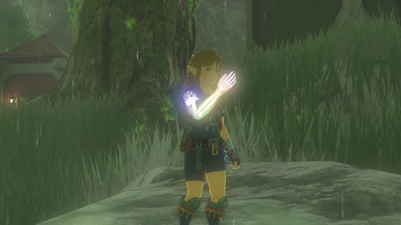X-ray Arm Mod for The Legend of Zelda: Tears of the Kingdom | TOTK Mods