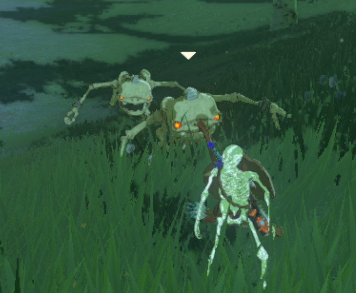 Skeleton Link Mod for The Legend of Zelda: Breath of the Wild (Switch ...