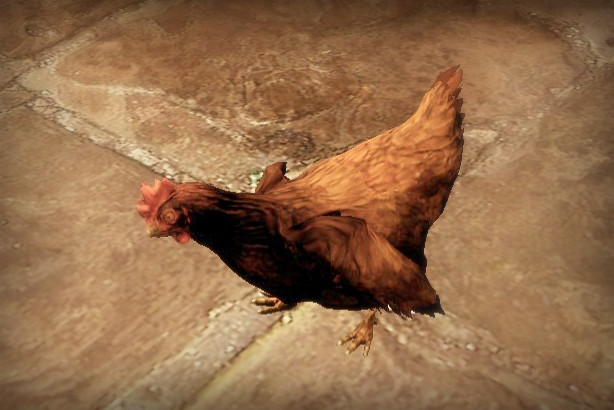 original chicken model Mod for Counter-Strike: Global Offensive | CS:GO ...