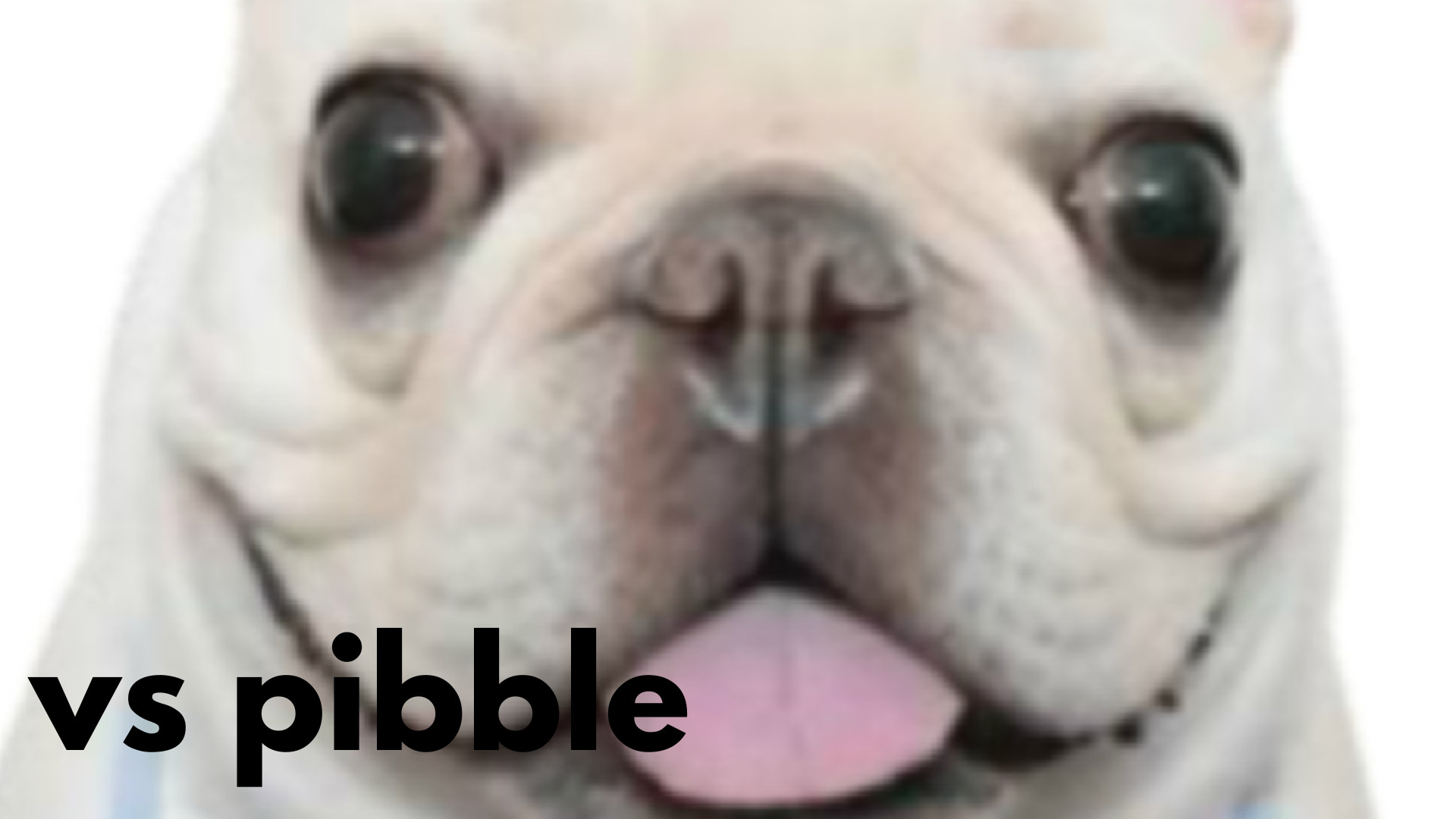 FNF: Pibble Turned EVIL! Mod for Friday Night Funkin' | FNF Mods