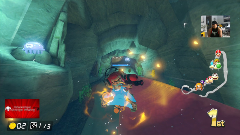 Custom Dr Dolphin Kart mod MK8D Mod for Mario Kart 8 Deluxe | MK8D Mods