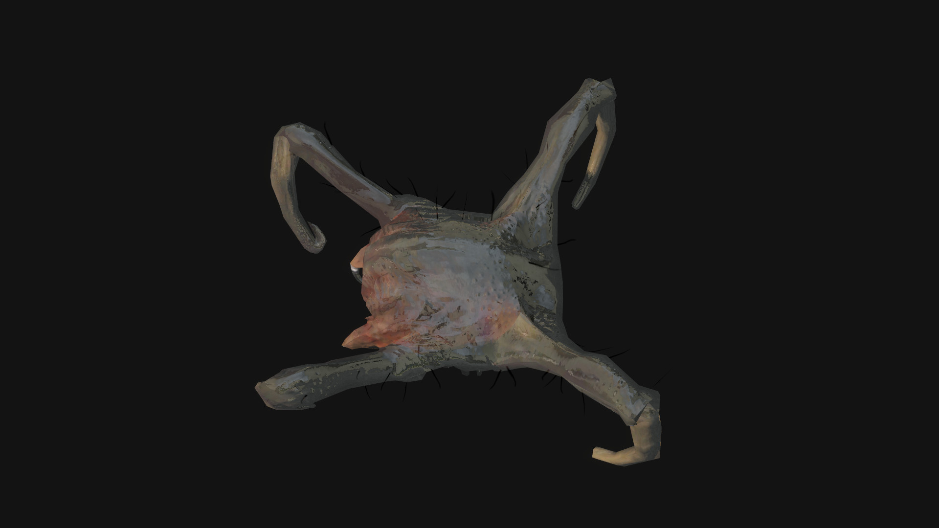 Beta Black Headcrab with Original shader Mod for Half-Life 2 | HL2 Mods