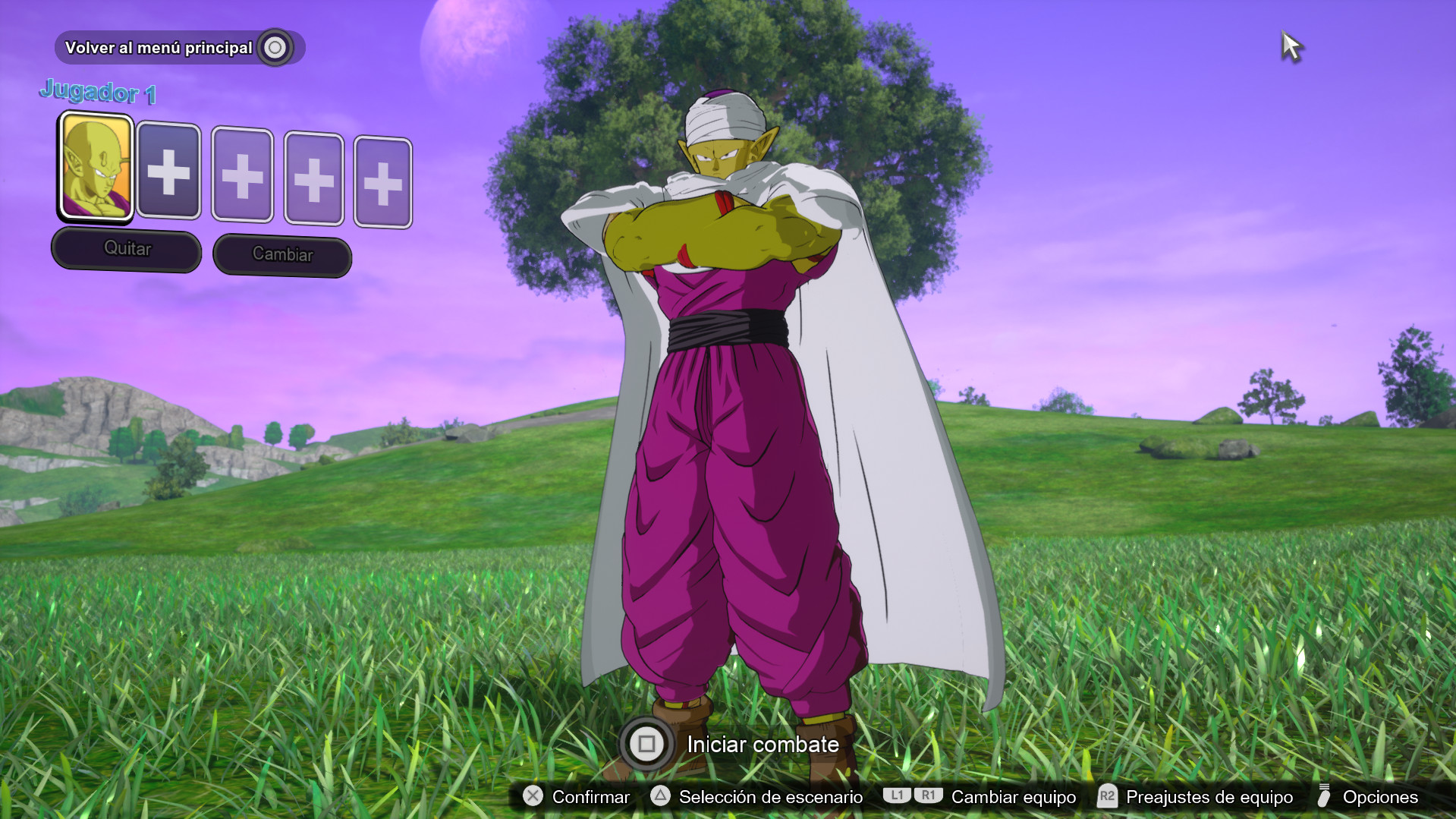 Piccolo Costume