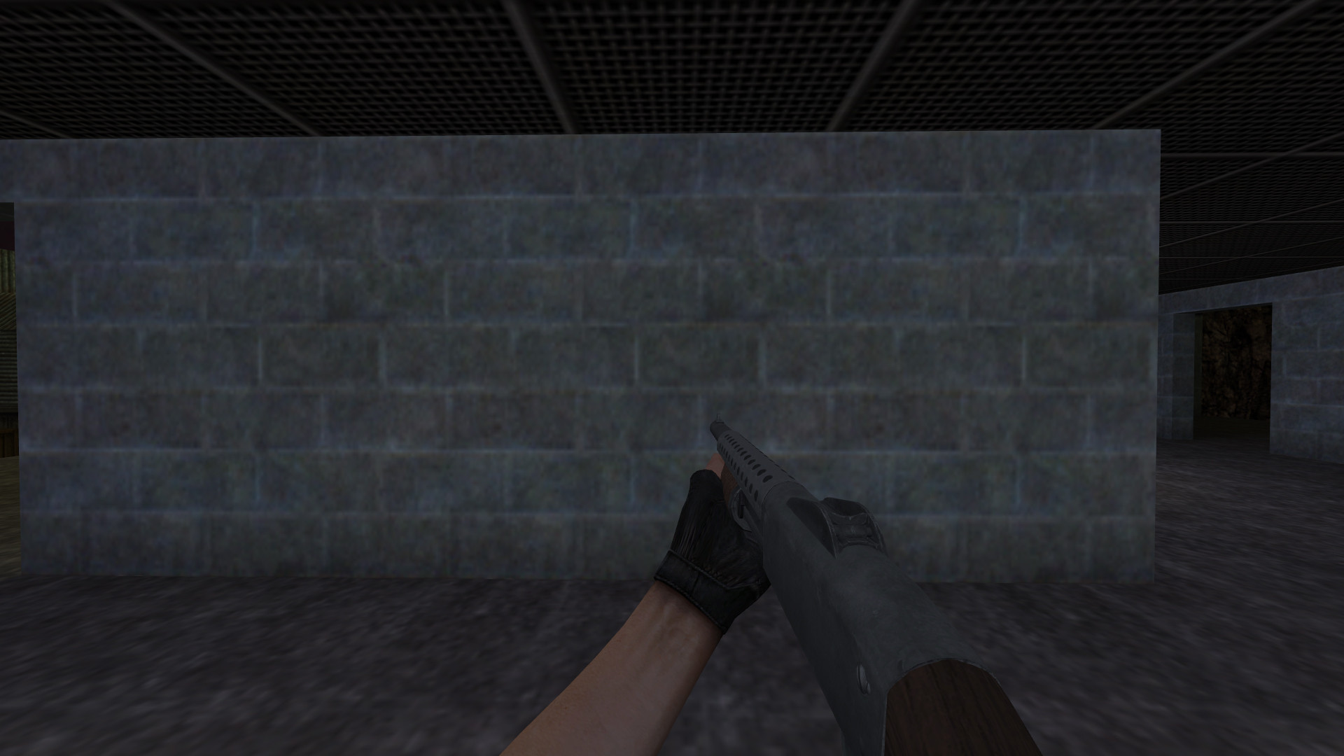 Ithaca Model 37 Shotgun on COD17 Animations Mod for Counter-Strike 1.6 | CS1.6 Mods