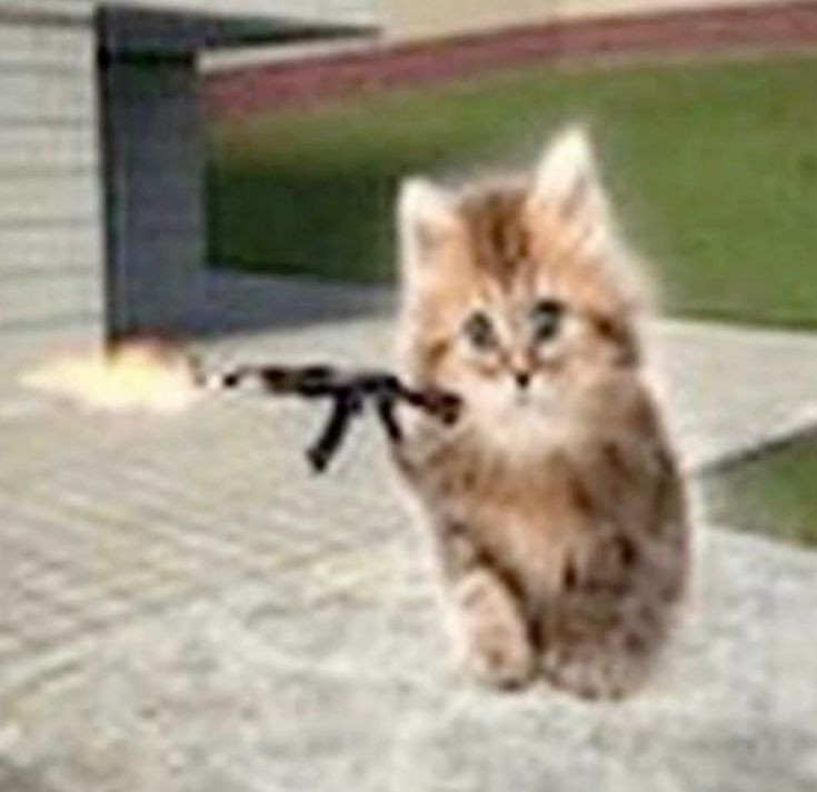 Scary baldi challange real (BROCKEKDEKNELFEENBNNN) Mod for Baldi's ...