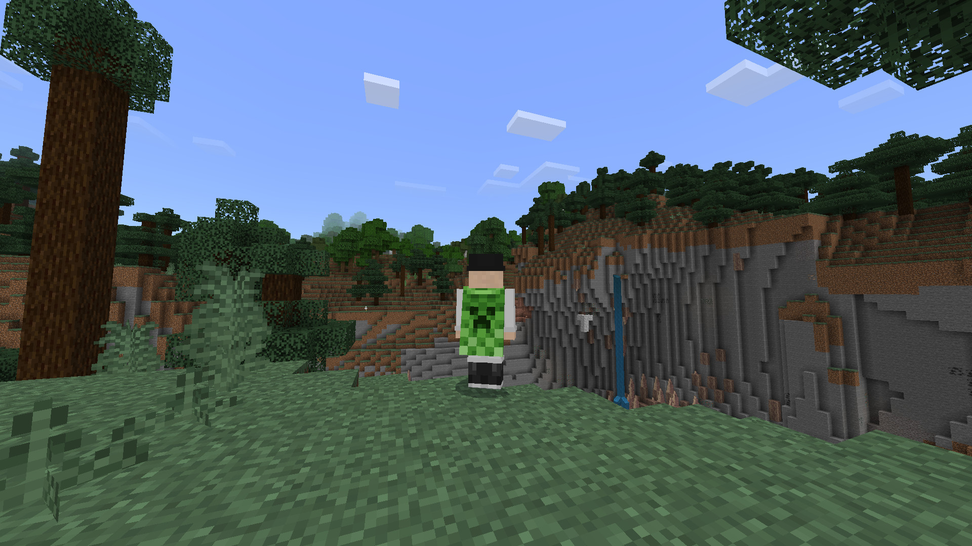 exotiques "Bedrock Custom Capes V1" Mod for Minecraft: Bedrock Edition ...
