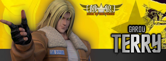 Garou Terry Pack Mod for Super Smash Bros. Brawl | Brawl Mods