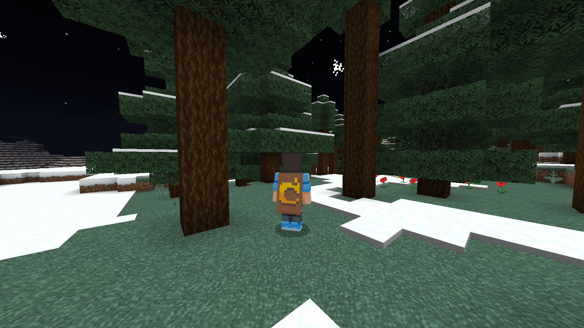 exotiques "Bedrock Custom Capes V1" Mod for Minecraft: Bedrock Edition ...