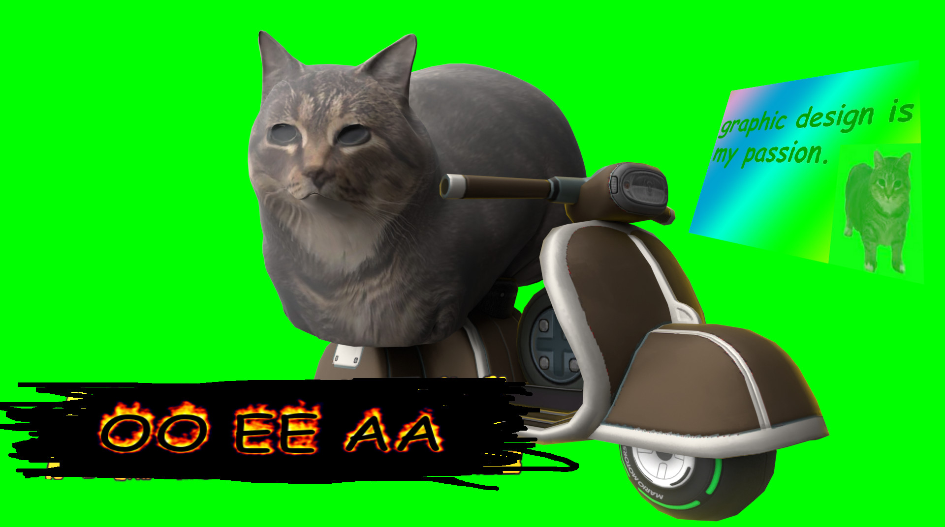 oo ee aa Cat Mod for Mario Kart 8 Deluxe | MK8D Mods