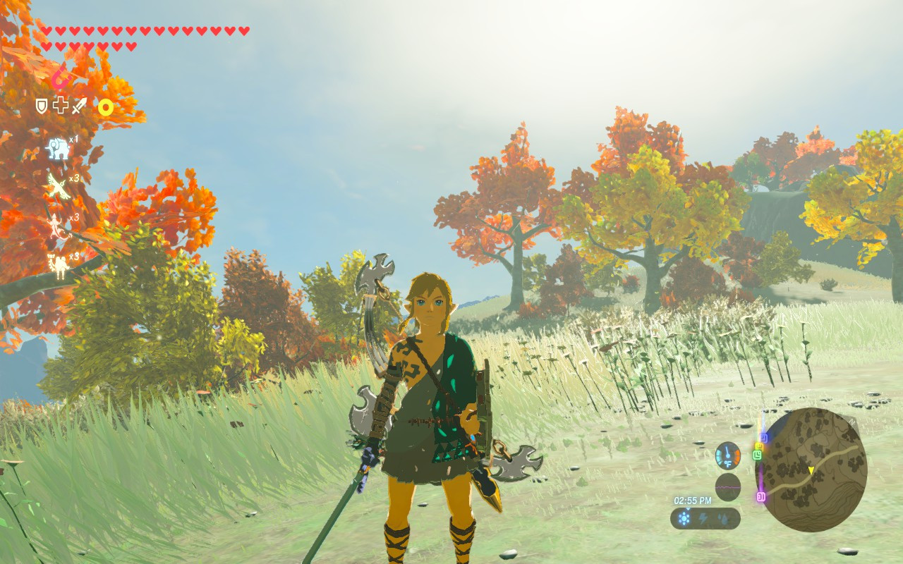 Rauru's Arm Mod for The Legend of Zelda: Breath of the Wild (WiiU ...