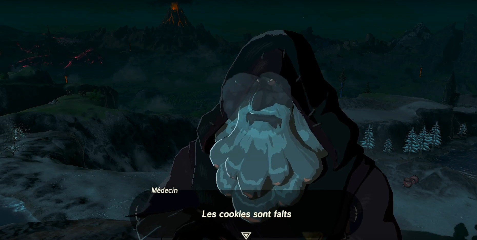 Google Translate Mod French/English Mod for The Legend of Zelda: Breath ...