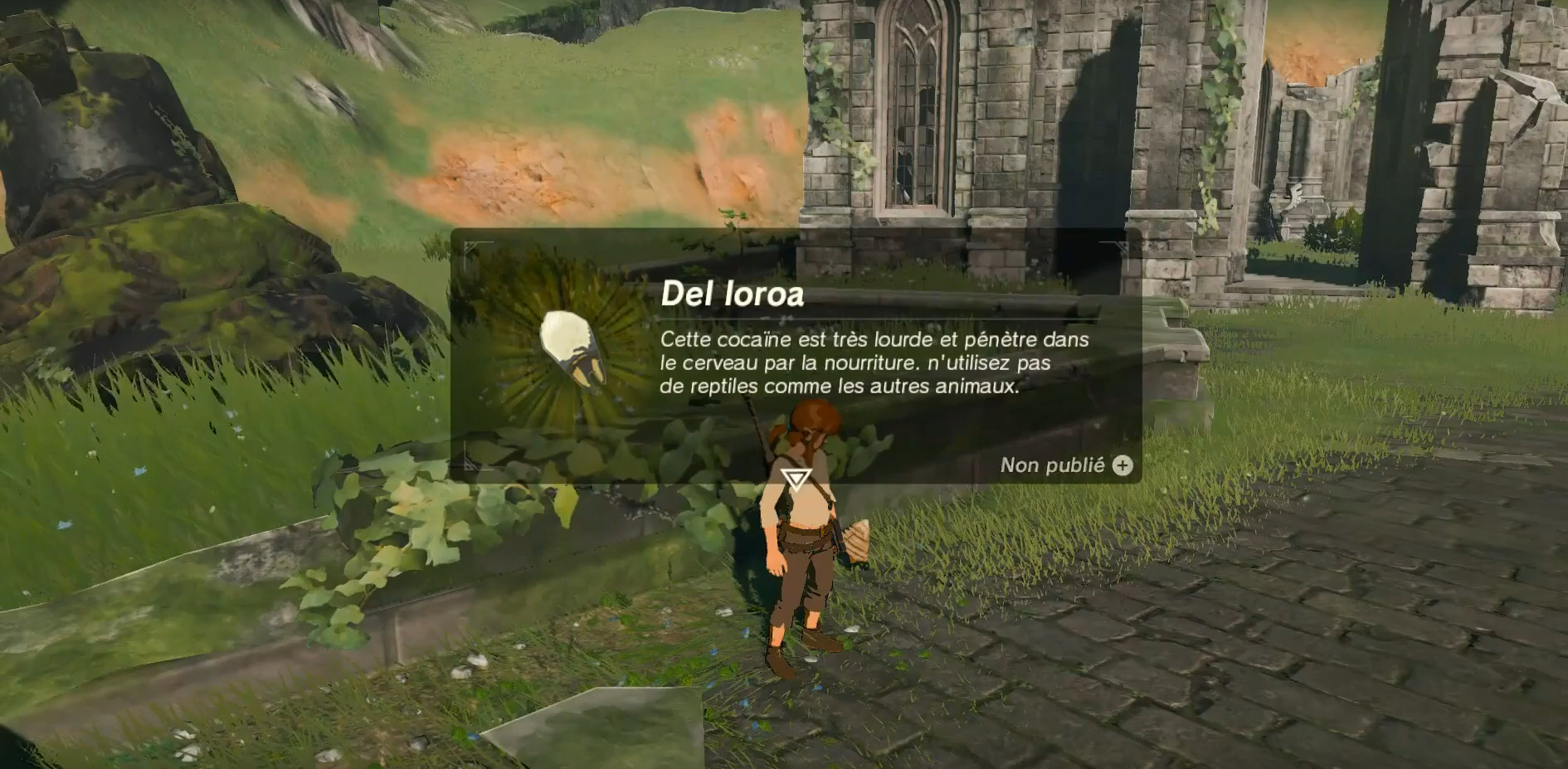Google Translate Mod French/English Mod for The Legend of Zelda: Breath ...