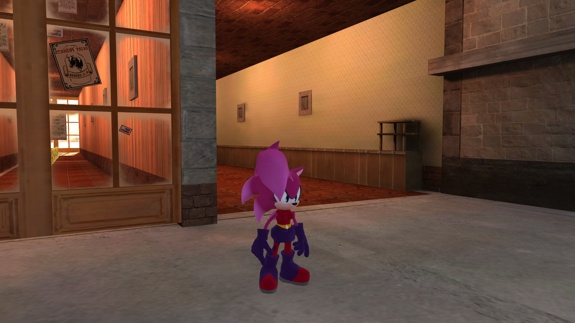 Sonia and Manic for Character Swap Framework Mod for Unleashed ...