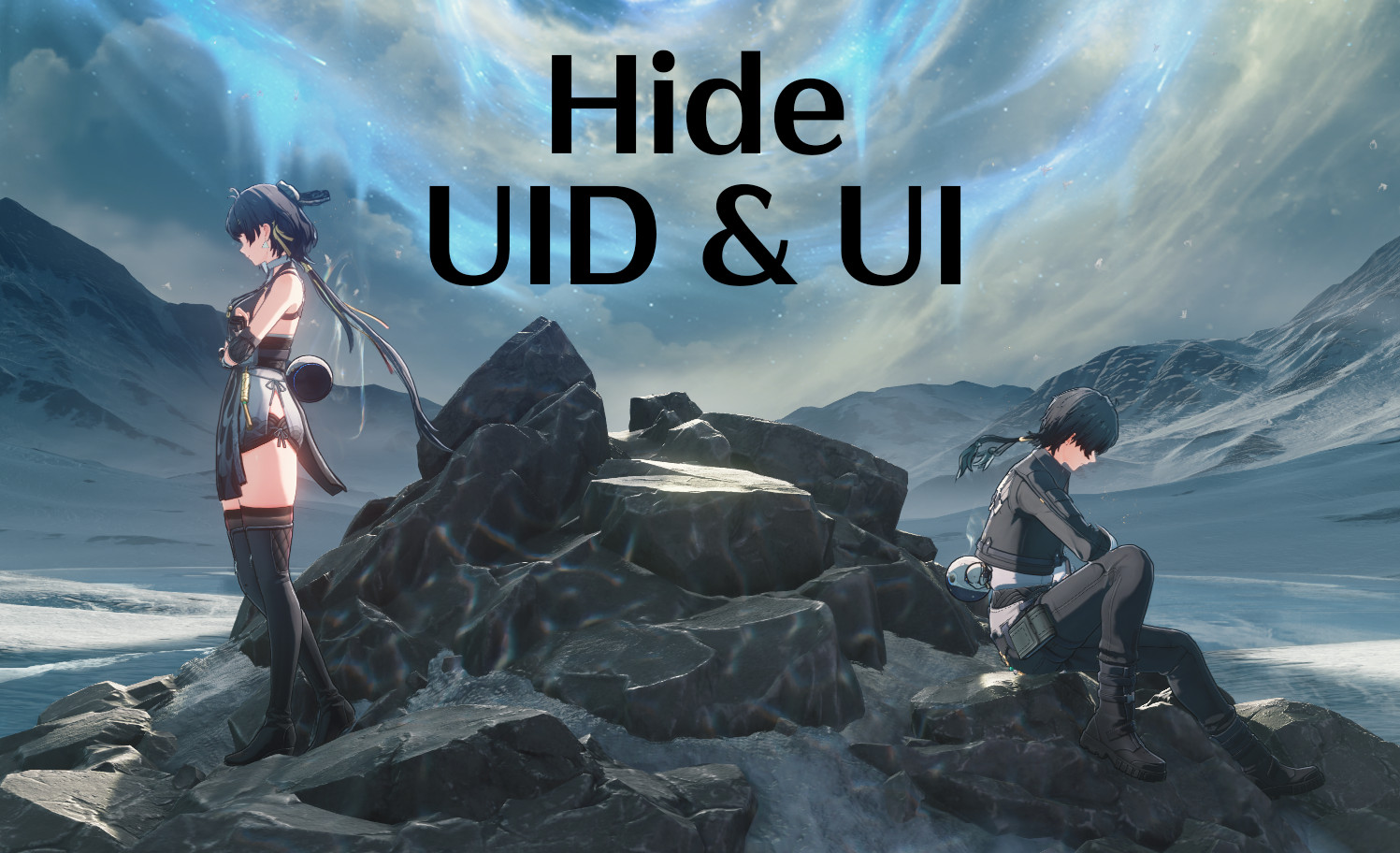 Hider Mod for Wuthering Waves | WuWa Mods