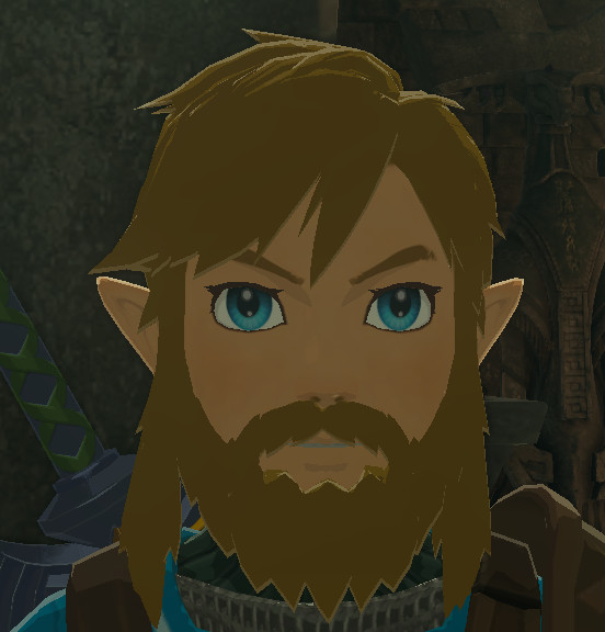 Bearded Link (TOTK) Mod for The Legend of Zelda: Tears of the Kingdom | TOTK Mods