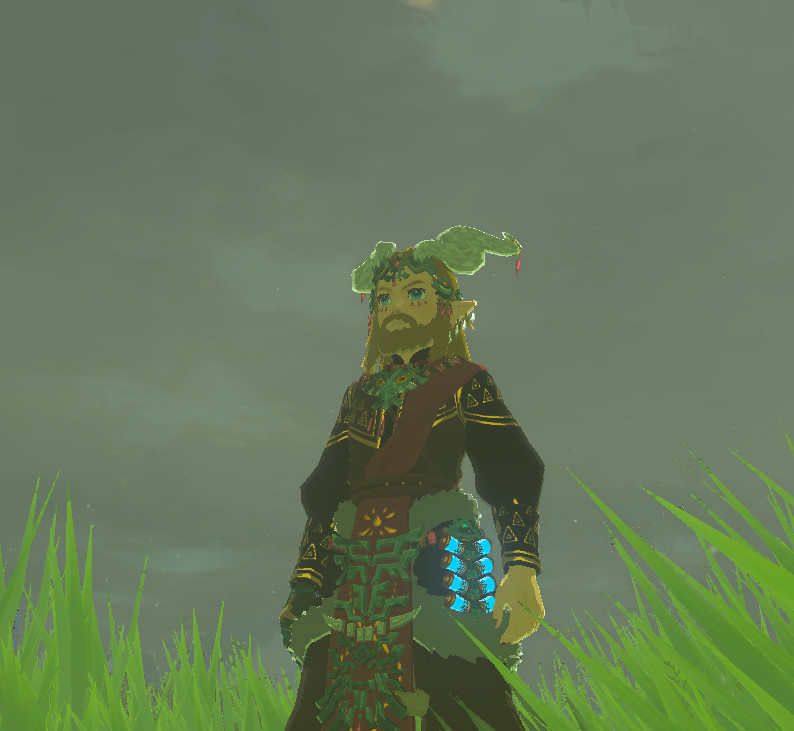 Bearded Link (TOTK) Mod for The Legend of Zelda: Tears of the Kingdom | TOTK Mods