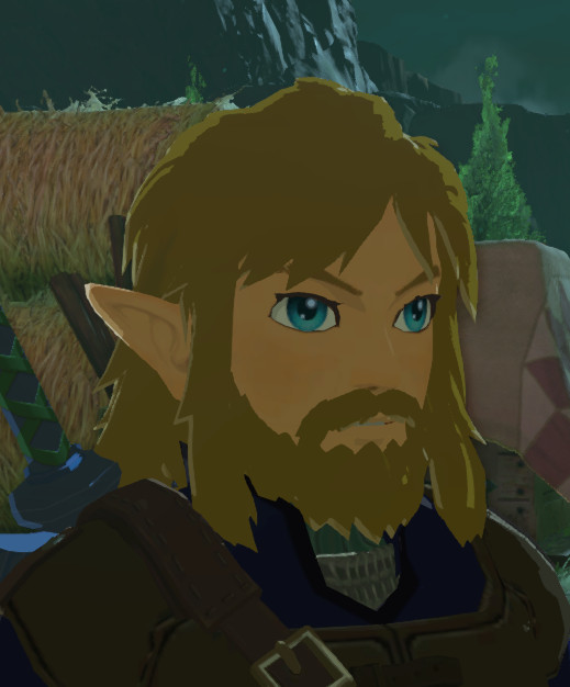 Bearded Link (TOTK) Mod for The Legend of Zelda: Tears of the Kingdom | TOTK Mods