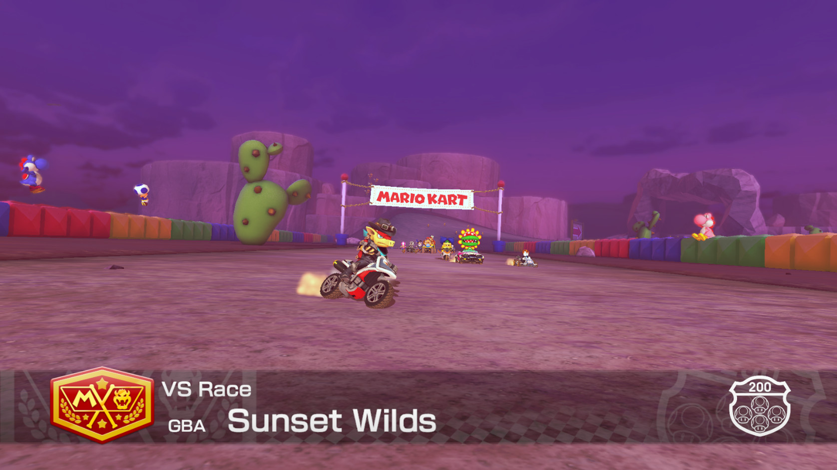 Dillon the Armadillo Mod for Mario Kart 8 Deluxe | MK8D Mods