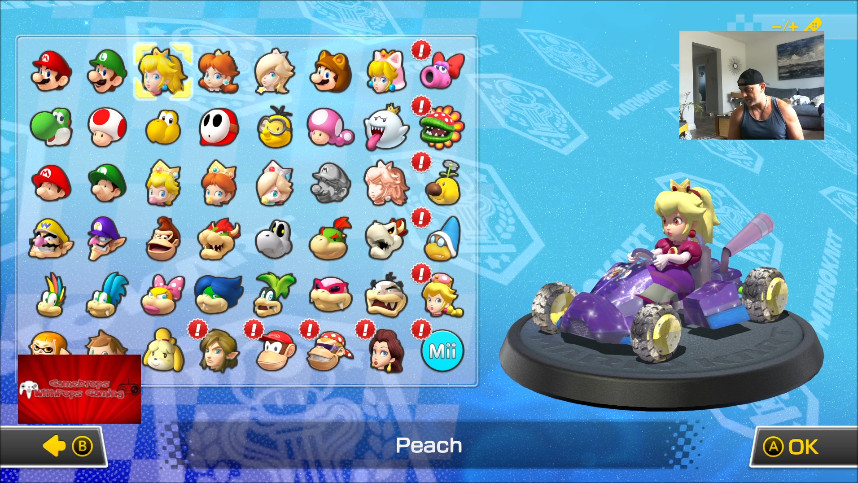 Dark Shadow Peach PMTTYD MKAGPDX kart mod MK8D Mod for Mario Kart 8 Deluxe | MK8D Mods