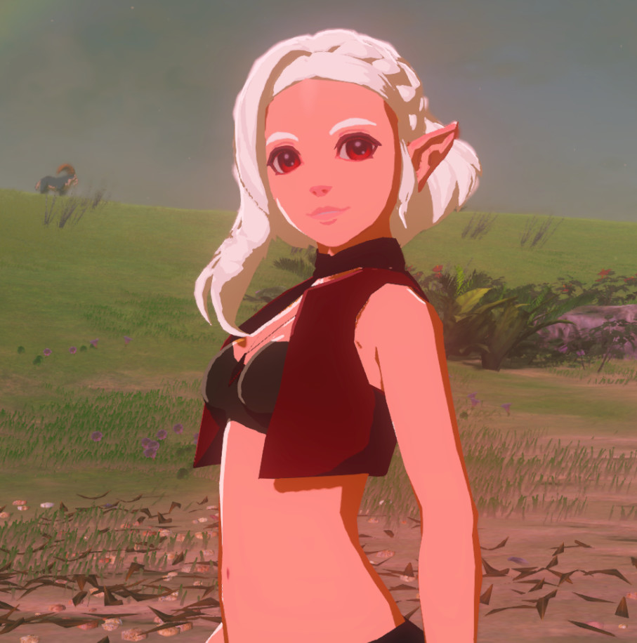 Nora Mod Mod for The Legend of Zelda: Breath of the Wild (WiiU) | BotW Mods