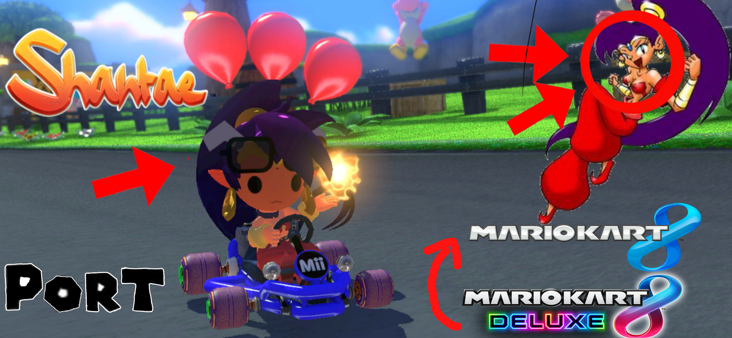 Shantae in Mario Kart 8 port! Mii suit Mod for Mario Kart 8 | MK8 Mods