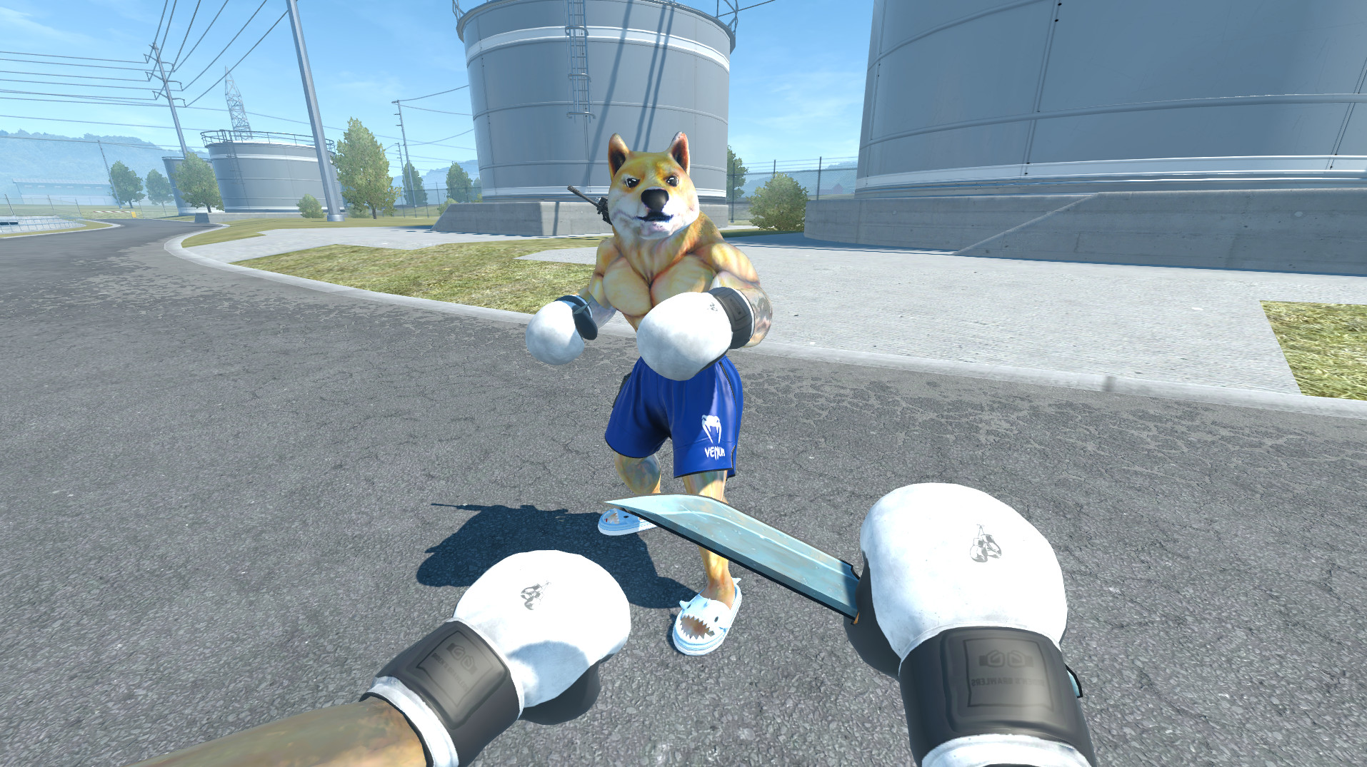 Muscular Doge Player Model Mod for Counter-Strike 2 | CS2 Mods