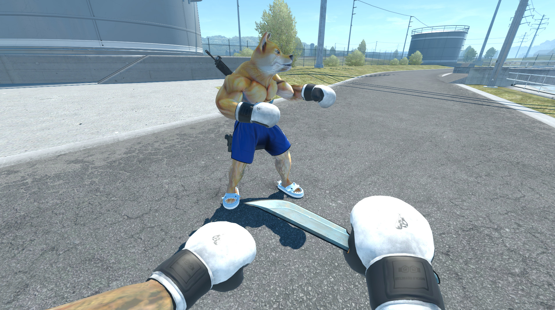 Muscular Doge Player Model Mod for Counter-Strike 2 | CS2 Mods