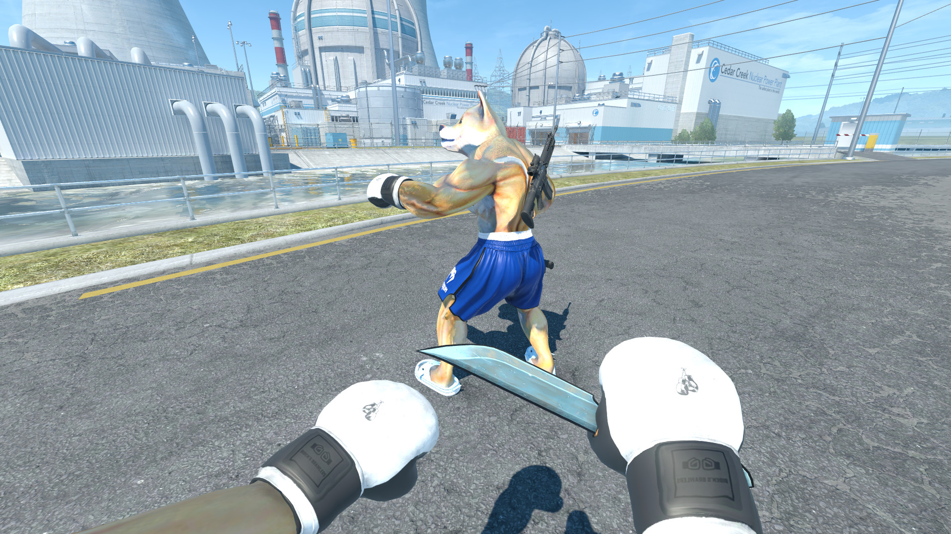 Muscular Doge Player Model Mod for Counter-Strike 2 | CS2 Mods