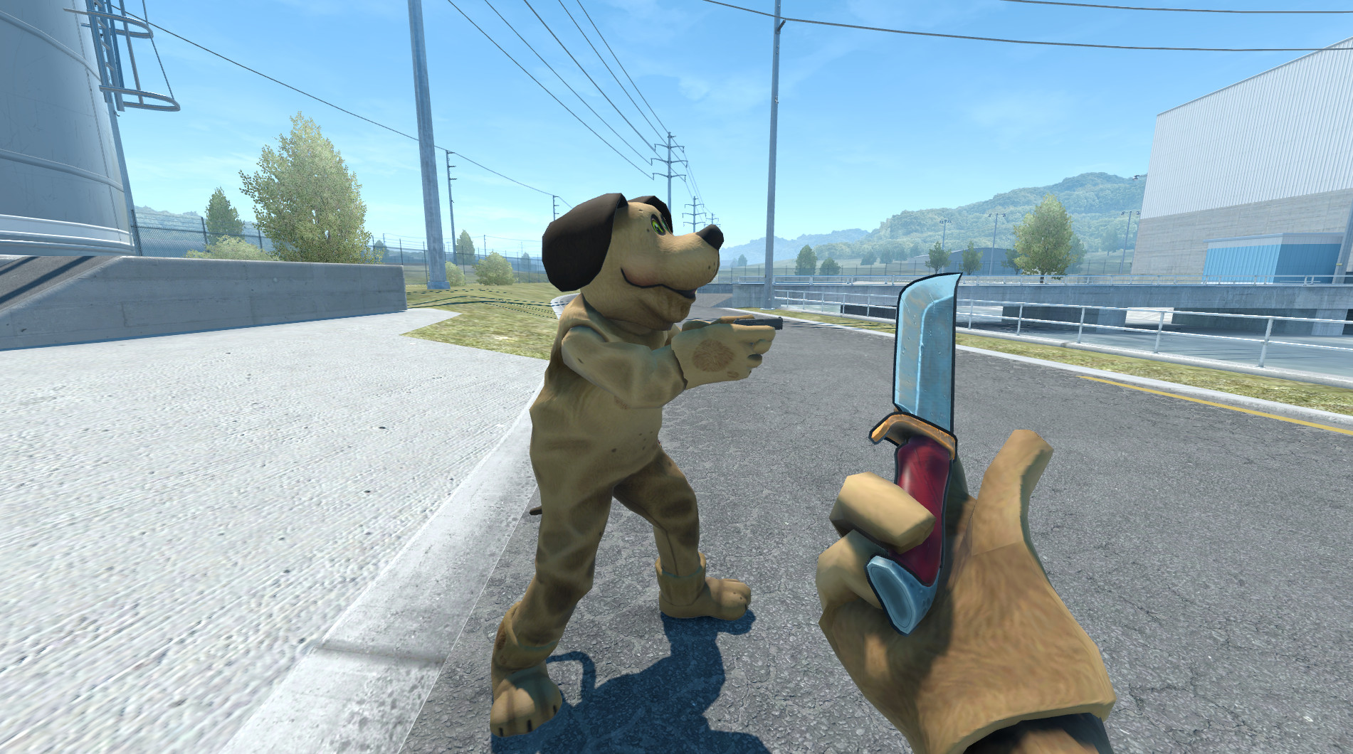 D.S. Dog Player Model Mod for Counter-Strike 2 | CS2 Mods