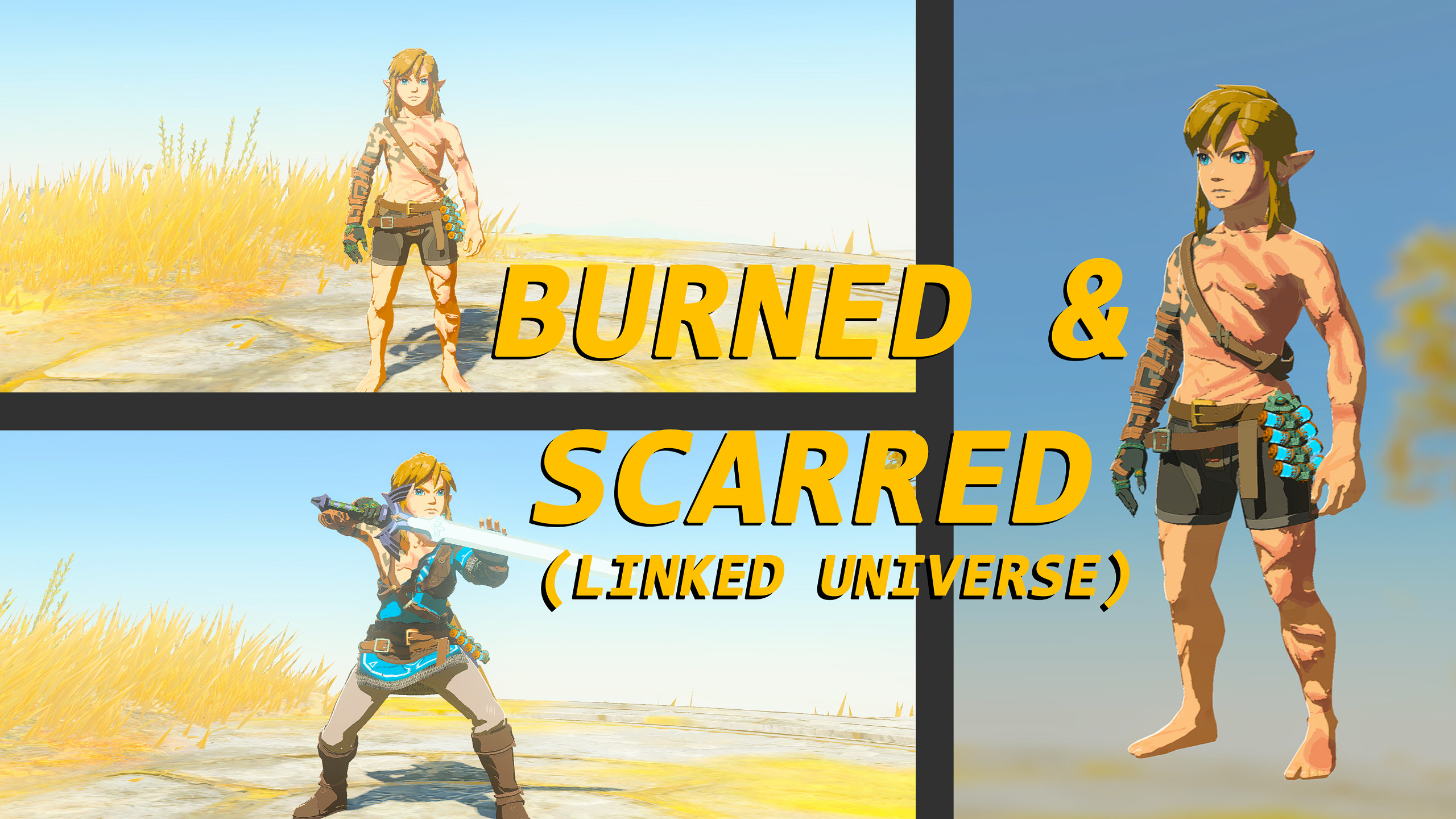 Link Skins (Scars, Burns, Raru, Classic & More!) Mod for The Legend of ...