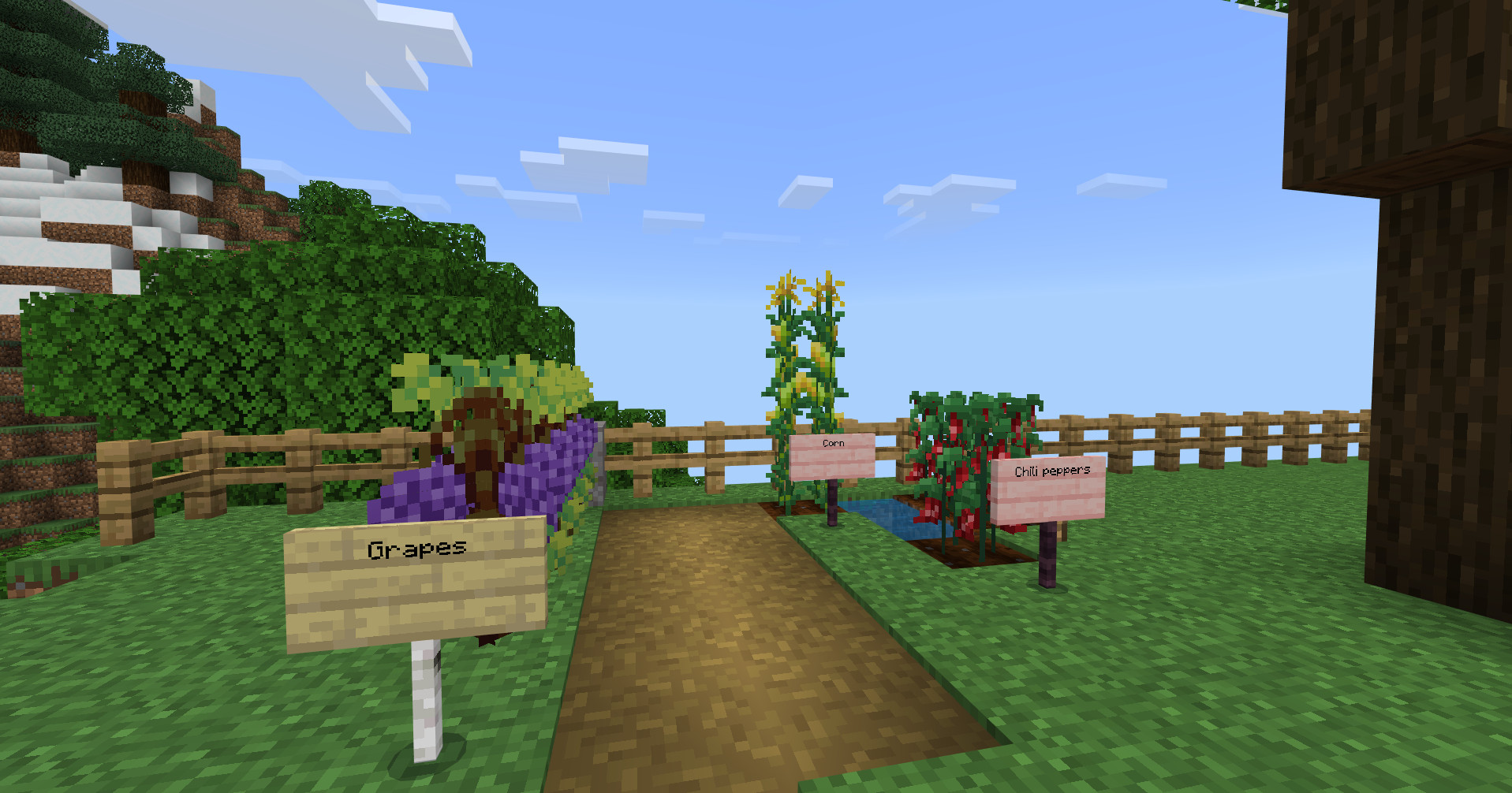 Krissies Mountain castle! Mod for Minecraft: Bedrock Edition | MC:BE Mods