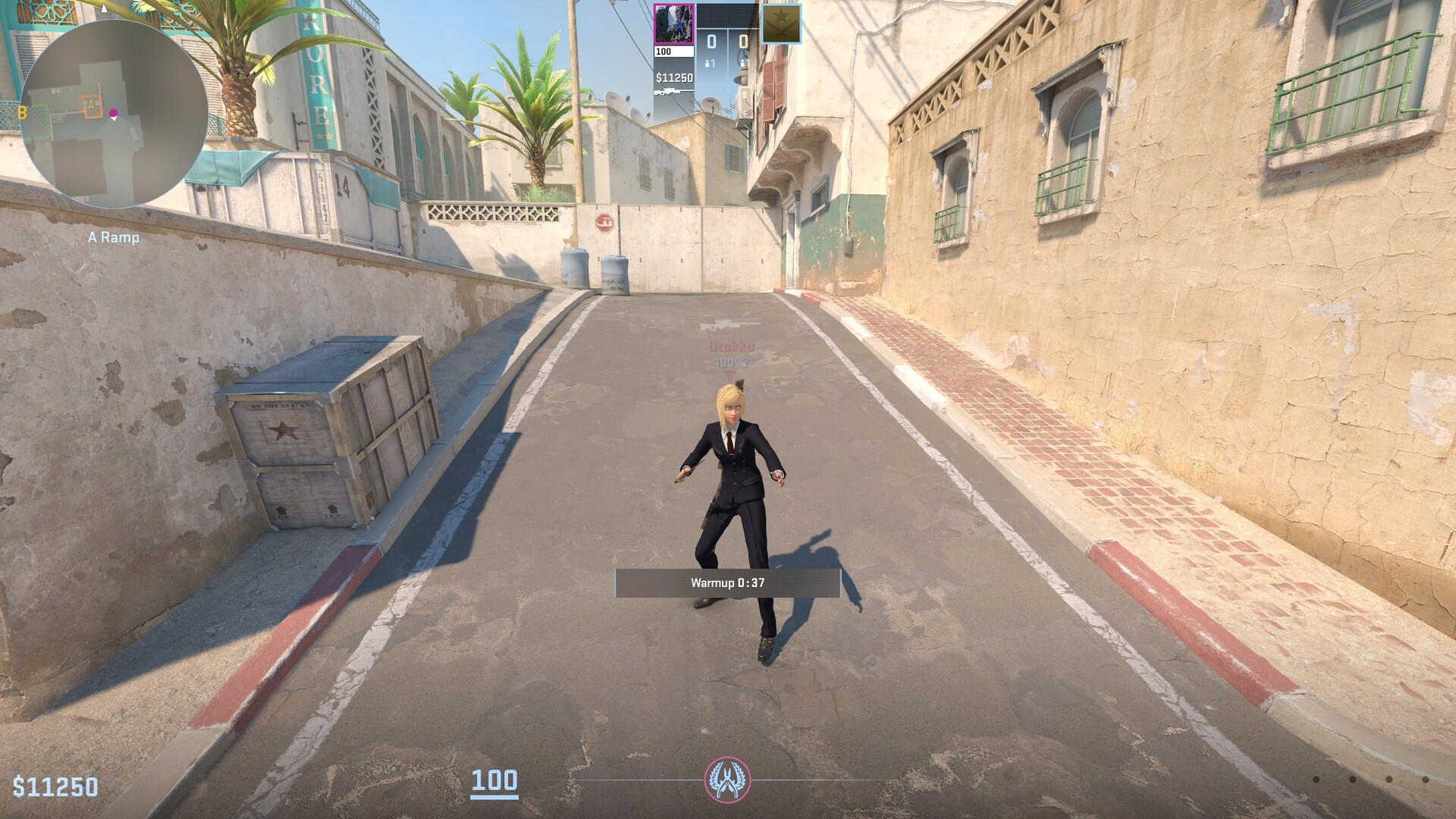 Elena FFVII Mod for Counter-Strike 2 | CS2 Mods