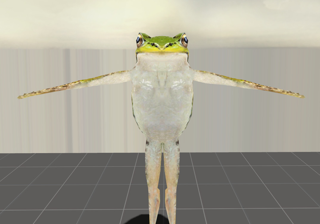 Funny Frog [PM] Mod for Counter-Strike: Source | CS:S Mods