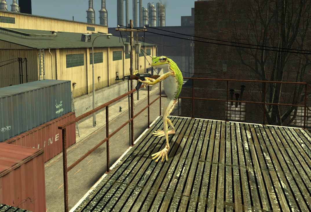 Funny Frog [PM] Mod for Counter-Strike: Source | CS:S Mods