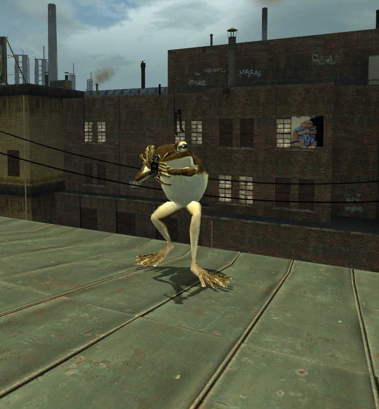 Funny Frog [PM] Mod for Counter-Strike: Source | CS:S Mods