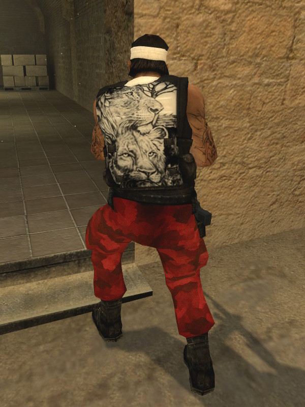 T_HG Mod for Counter-Strike: Source | CS:S Mods