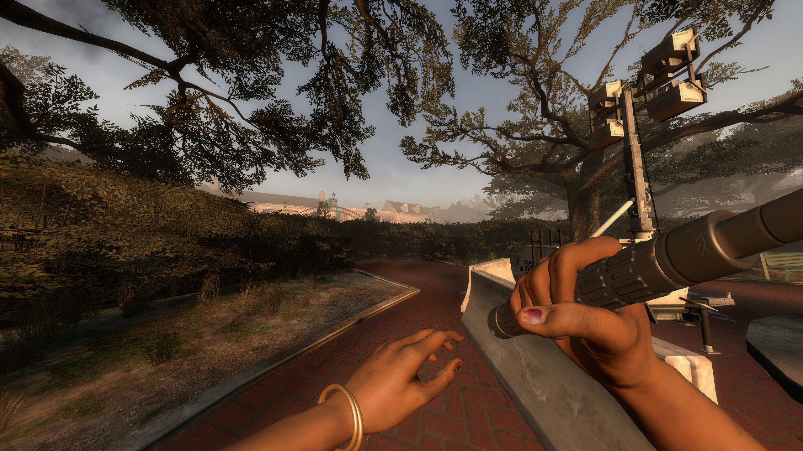 Call of Duty: Modern Warfare Weapons Collection Mod for Left 4 Dead 2 ...