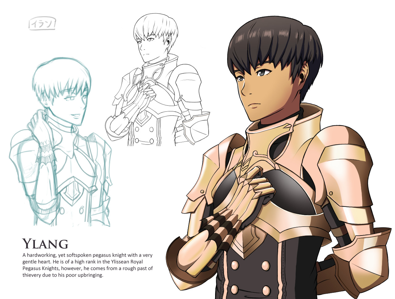 Project "Ylang": The Male Pegasus Knight Mod for Fire Emblem Awakening ...