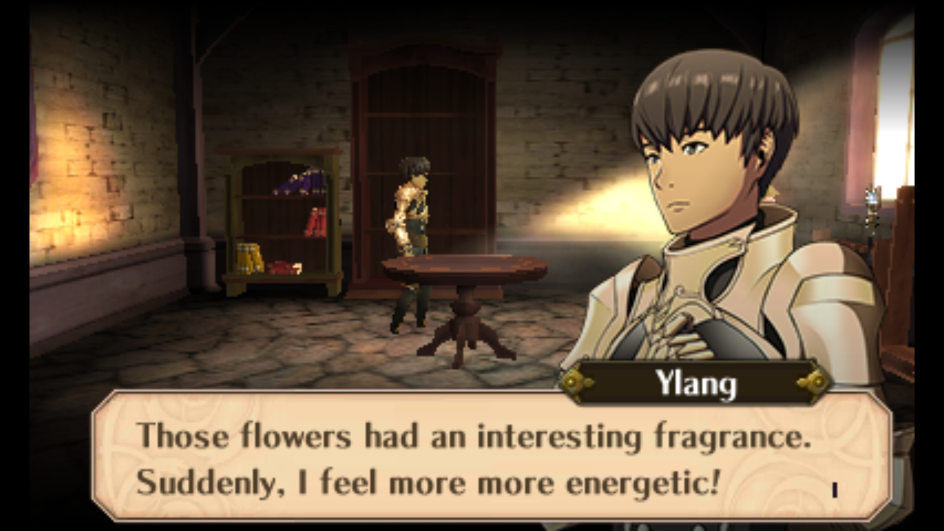 Project "Ylang": The Male Pegasus Knight Mod for Fire Emblem Awakening ...