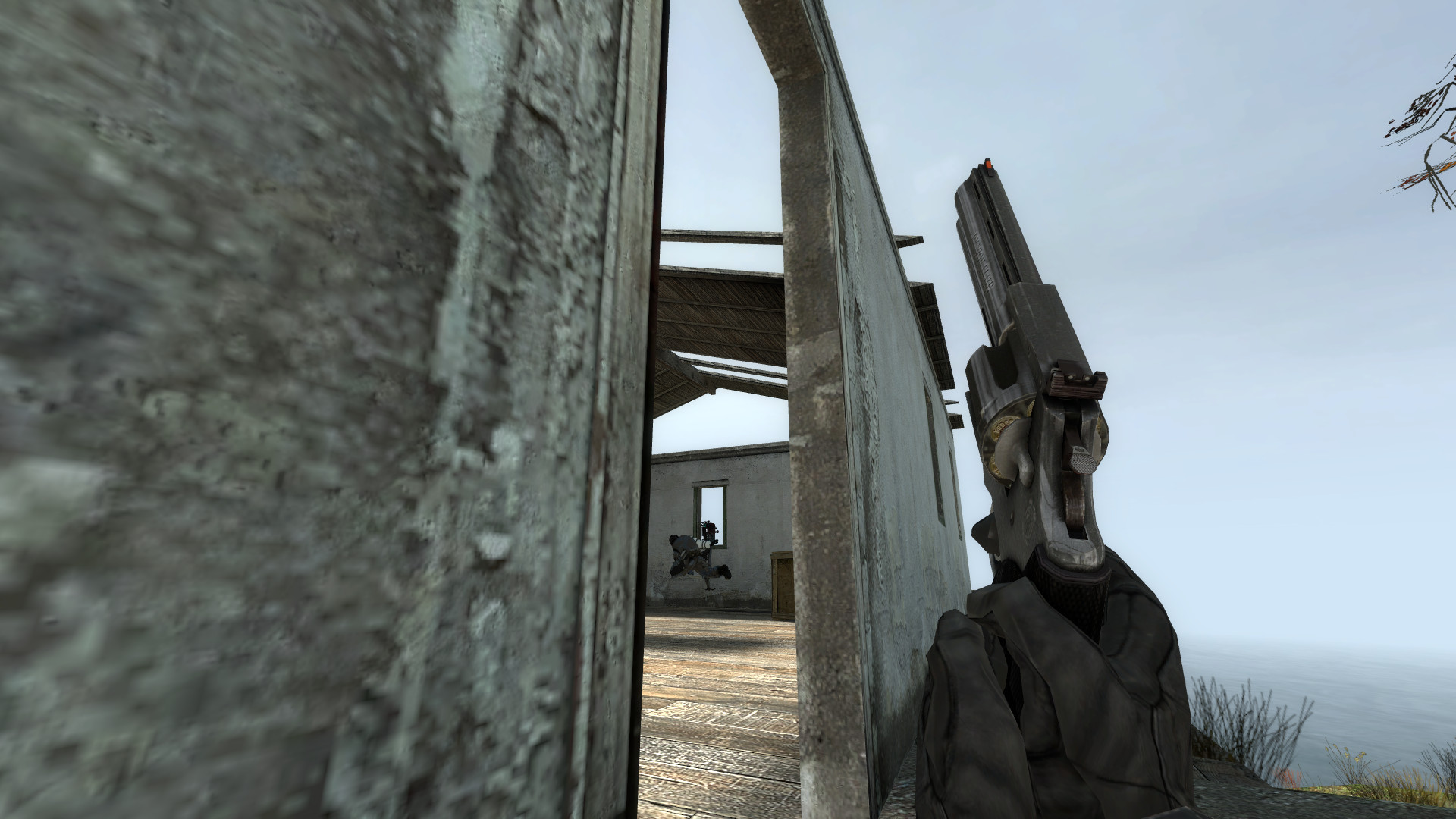 "Default HL2 Weapons Reanimations" (Port) Mod for Half-Life 2 | HL2 Mods