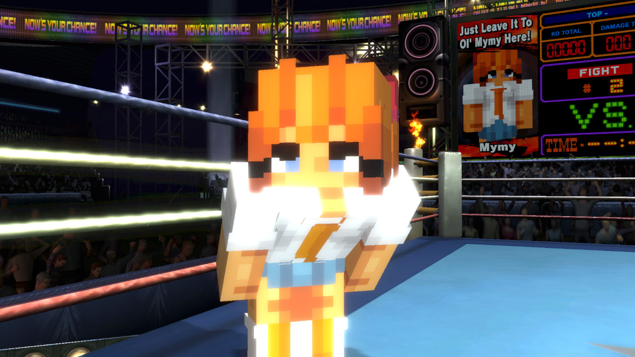 Mymy Schoppenboer (Minecraft Skin) Mod for Super Smash Bros. Ultimate ...