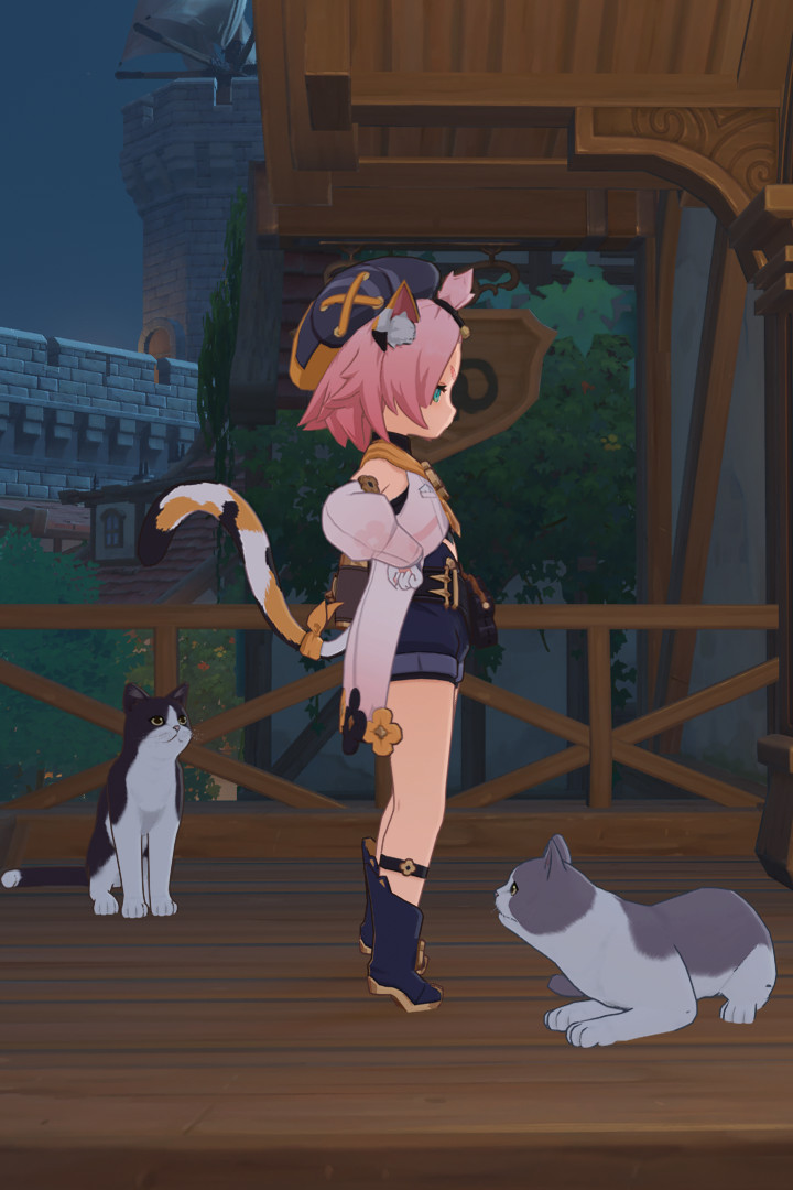 Down With The Industry! Diona Tweaks +Texture Edit Mod for Genshin Impact | GI Mods