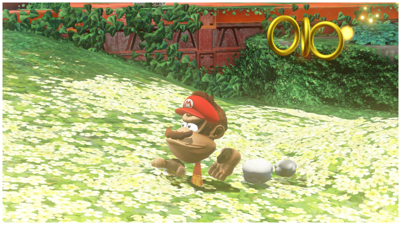 DK Coin Coffer Mod for Super Mario Odyssey | SMO Mods