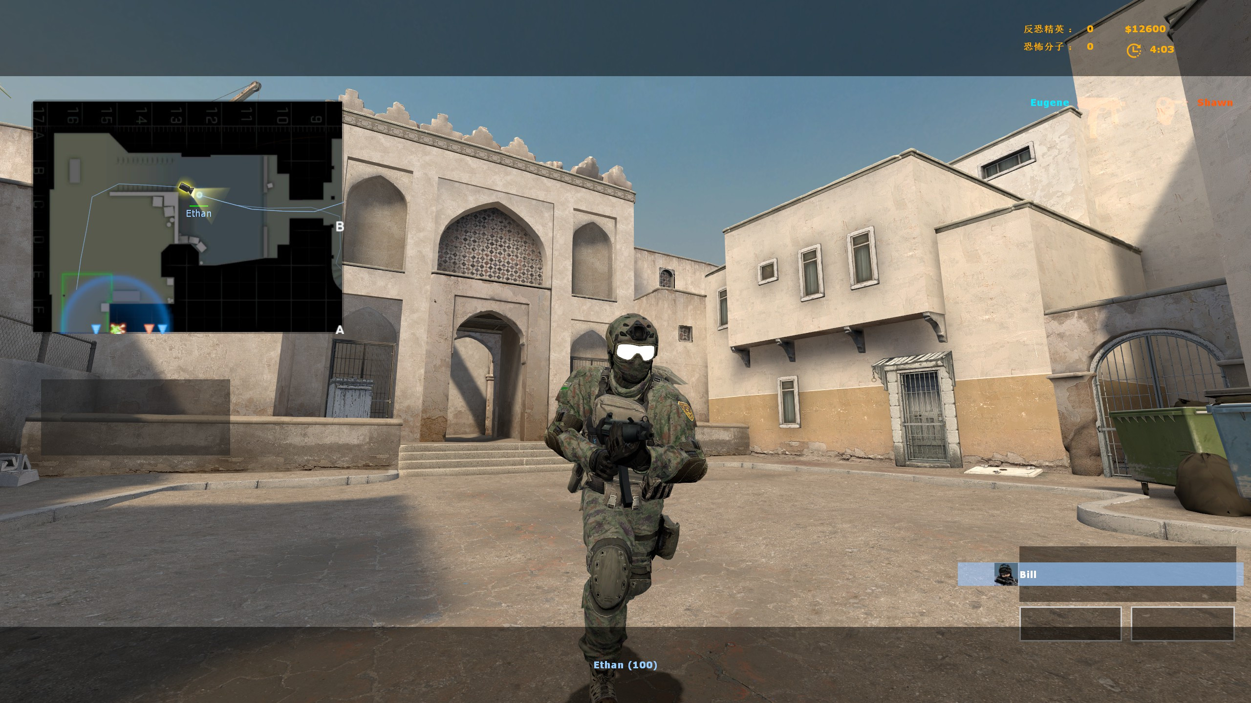 Battlefield 4 Type 21 camouflage player Mod for Counter-Strike: Source | CS:S Mods