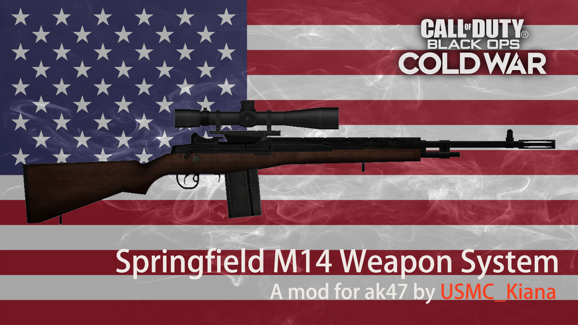 Springfield M14 Weapon System on BOCW Animation Mod for Counter-Strike ...