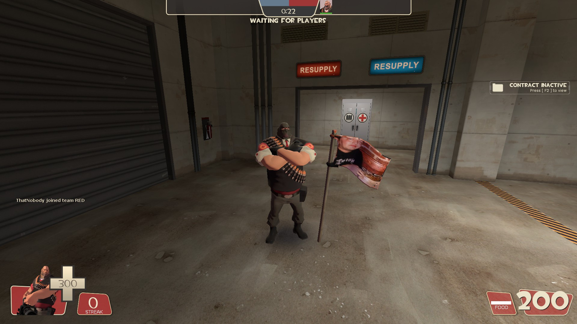 Sal Flag Reskin Mod for Team Fortress 2 | TF2 Mods