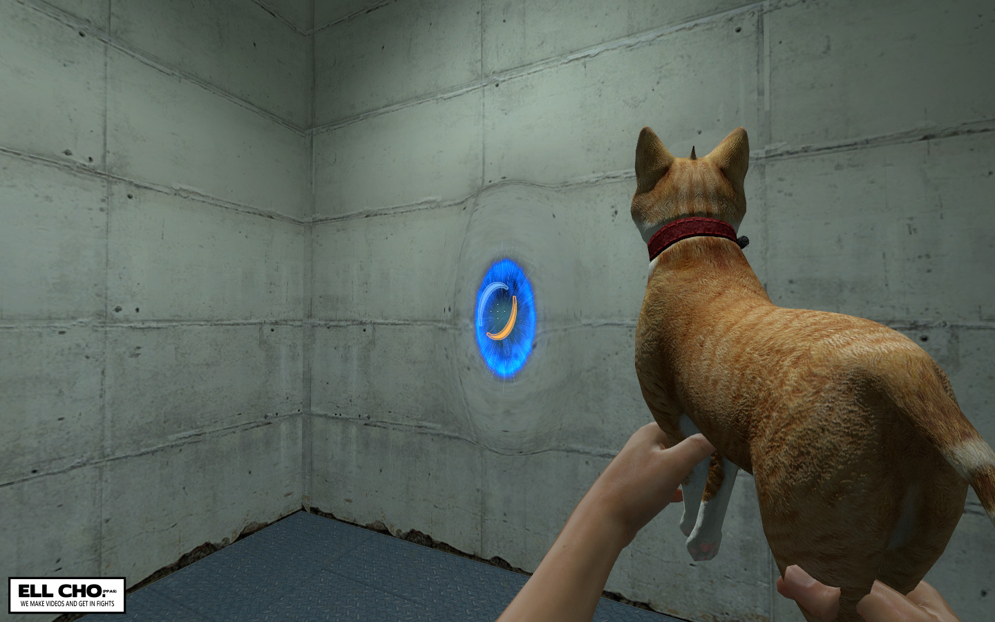 Cat Portal Gun Mod for Portal 2 | P2 Mods