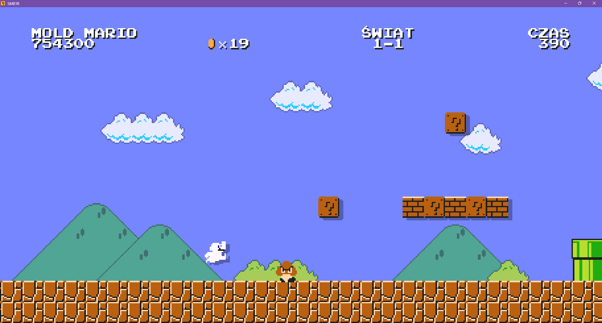 Mold Mario Mod for Super Mario Bros. Remastered [Unofficial] | SMB1R Mods